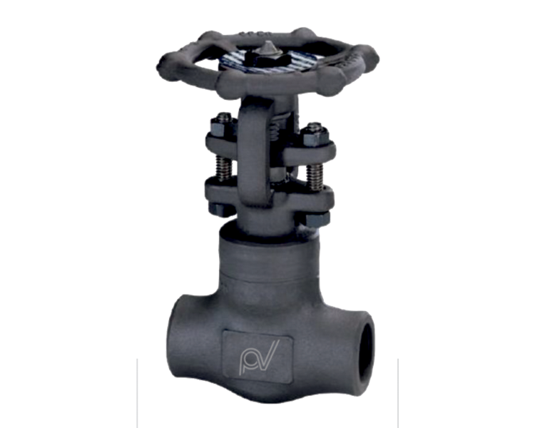 PARIN VALVES