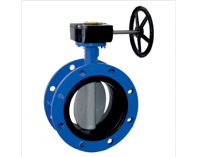 PARIN VALVES