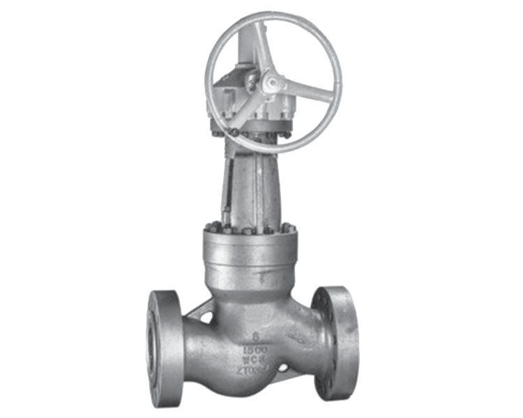 PARIN VALVES